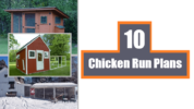 10 Free Chicken Run Plans & Ideas That Are Easy to Build (100% Free)