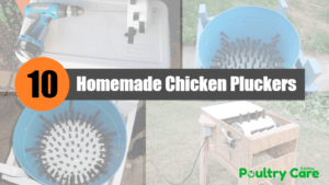 10 Homemade Chicken Pluckers - Easy to Build (100% Free) | Poultry Care ...