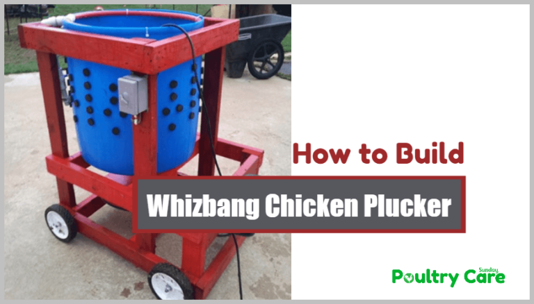 How to Build a Chicken Plucker - Whizbang Chicken Plucker | Poultry ...