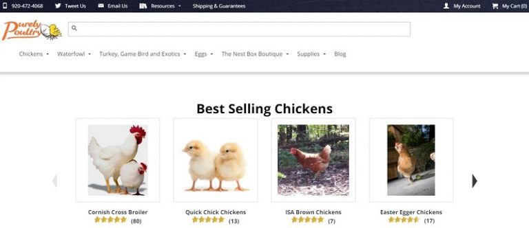 21 Best Hatcheries To Buy Chickens Online - Poultry Care Sunday