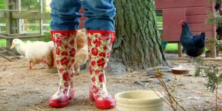 10 Best Boots For Chicken Coop In 2026 [Experts Recommendation ...