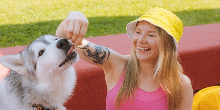 Top Advice for Successful Dog Training