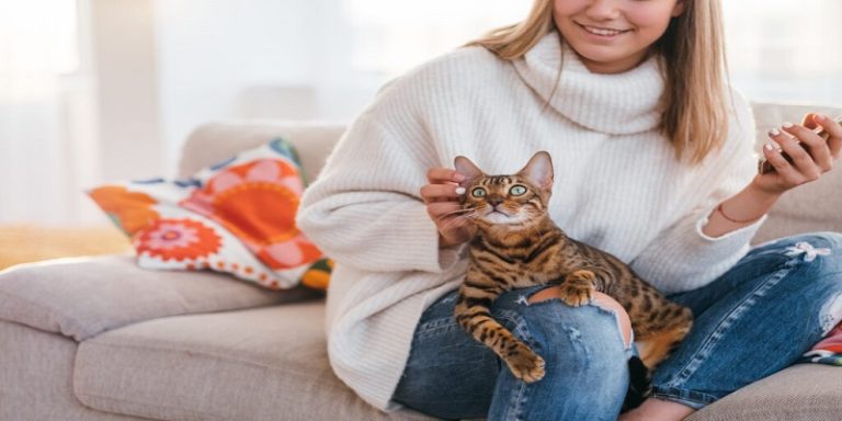Are Cats Possessive Of Their Owners? - Poultry Care Sunday