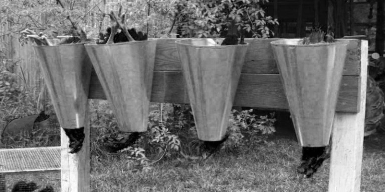 The 10 Best Chicken Killing Cone Of 2025