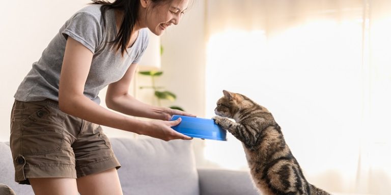 Feeding Your Pets the Healthy Way: Top Tips for Pet Owners