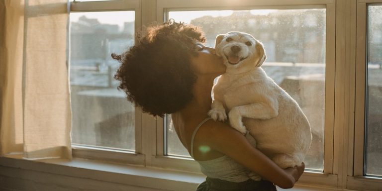 Best Dog-Friendly Places to Visit in America