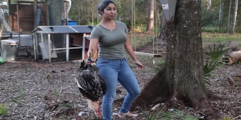 How To Hold A Chicken Upside Down? - Poultry Care Sunday