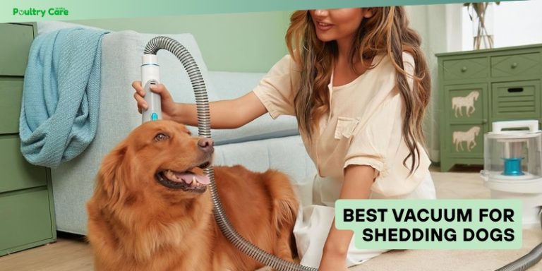 The 8 Best Vacuum For Shedding Dogs – 2026 - Poultry Care Sunday