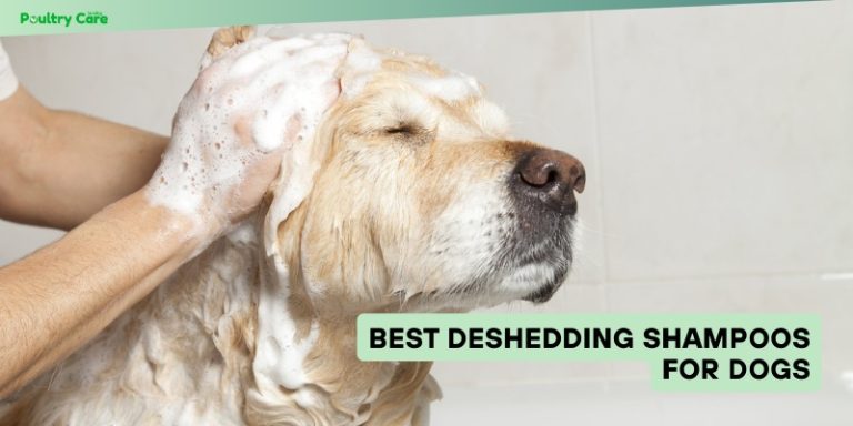 The 10 Best Deshedding Shampoos For Dogs In 2025