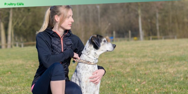 How to Teach Your Dog Basic Commands: Step-by-Step Guide
