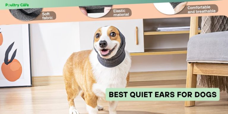 The 8 Best Quiet Ears For Dogs In 2026 – Reviews And Guide - Poultry ...