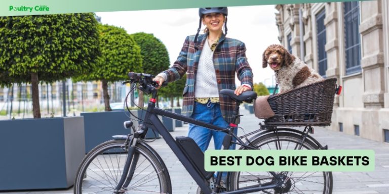 Top 15 Best Dog Bike Baskets In 2026 – Reviews And Guide
