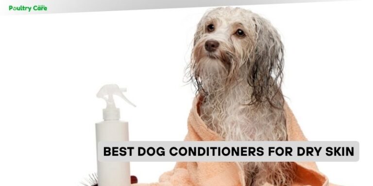 Top 8 Best Dog Conditioners For Dry Skin 2026, According to Experts