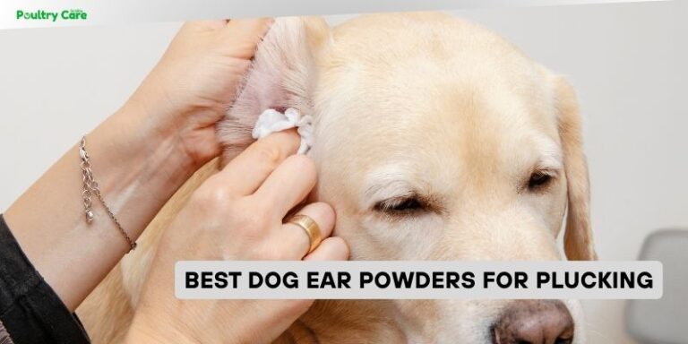 Top 8 Best Dog Ear Powders For Plucking In 2025 – Reviews And Guide
