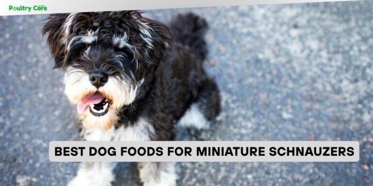 11 Best Broiler Pans of 2025