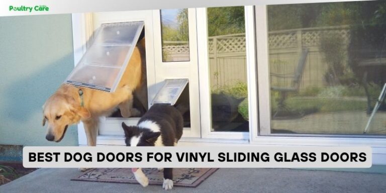 Top 8 Best Dog Doors For Vinyl Sliding Glass Doors To Buy In 2026
