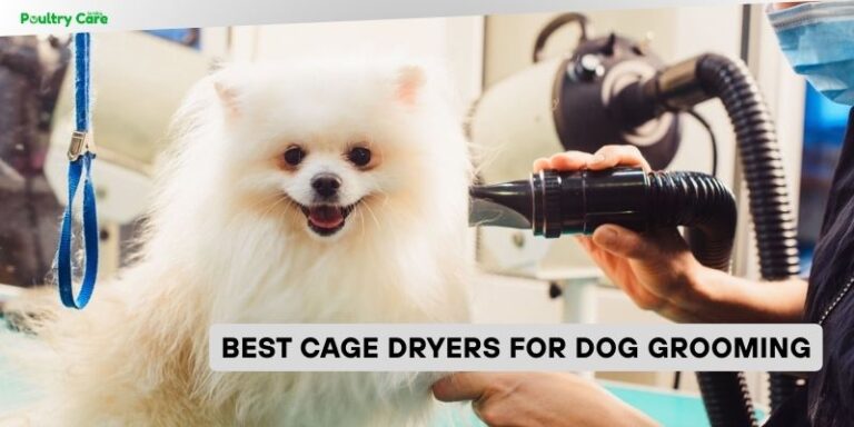 The 10 Best Shears For Dog Grooming Of 2026, Tested by Experts