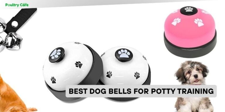 Our 10 Best Dog Bells For Potty Training – Top Picks Of 2026 - Poultry ...