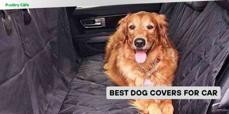 The 10 Best Dog Covers For Car 2026, According to Experts - Poultry ...