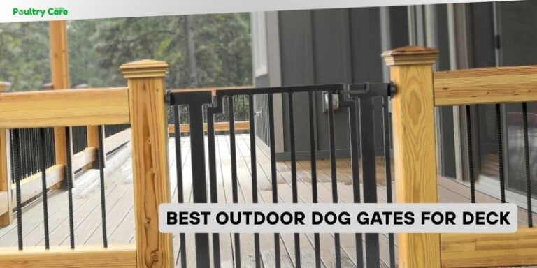 10 Best Outdoor Dog Gates For Deck In 2026 – Reviews And Guide ...